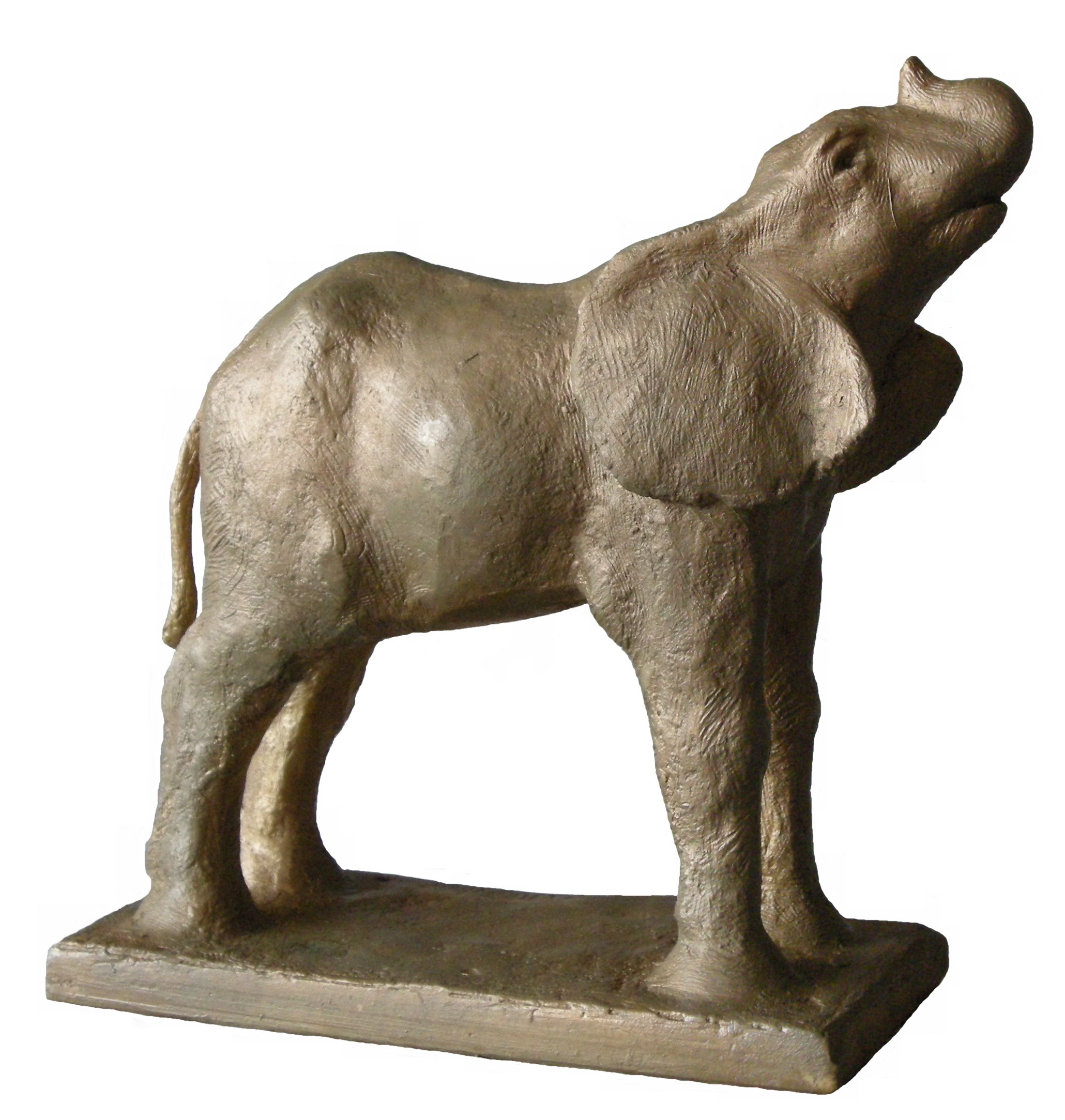 Säugetiere | Caroline Wagner